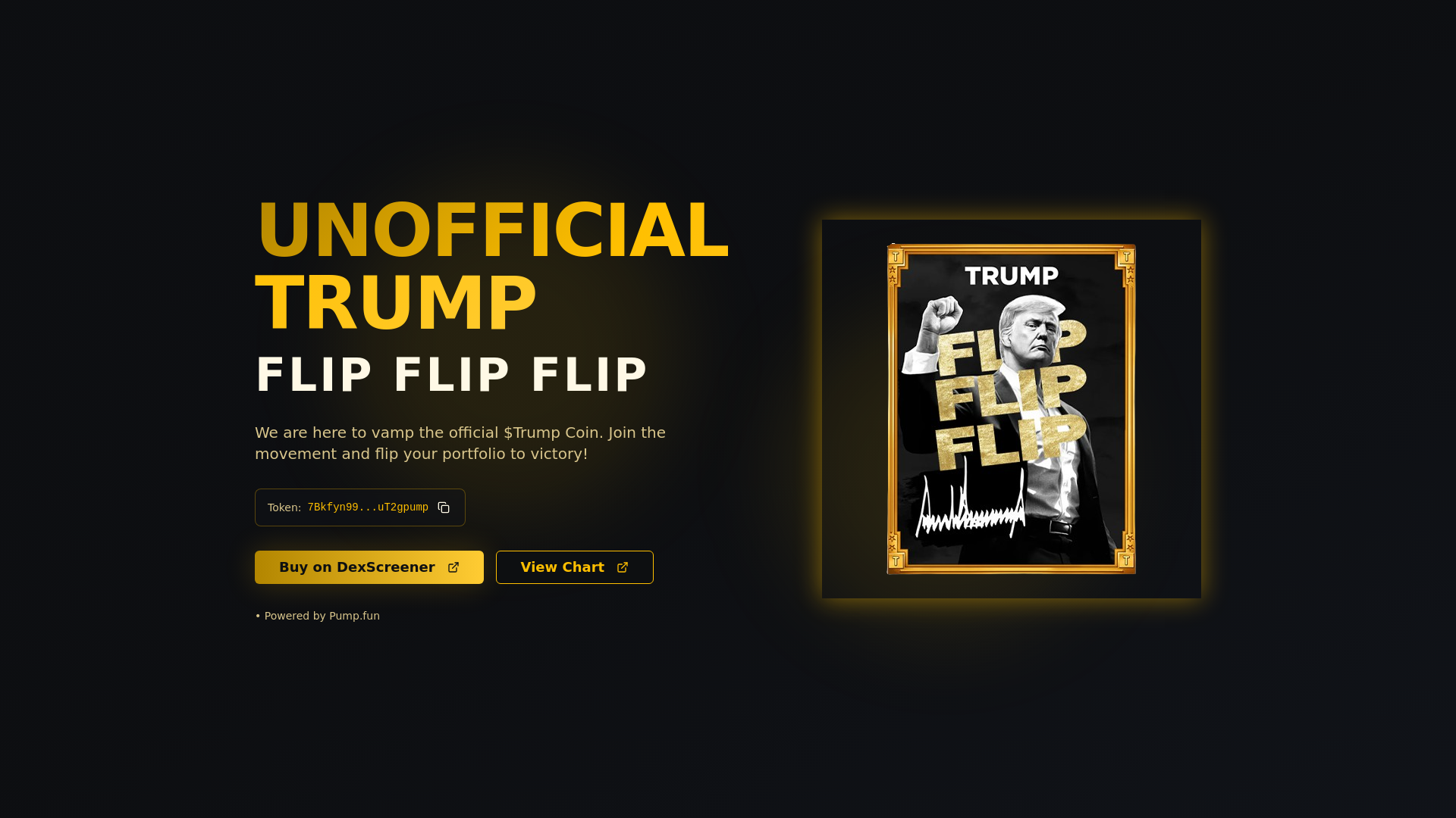 TRUMP Token - FLIP FLIP FLIP | Solana Meme Coin