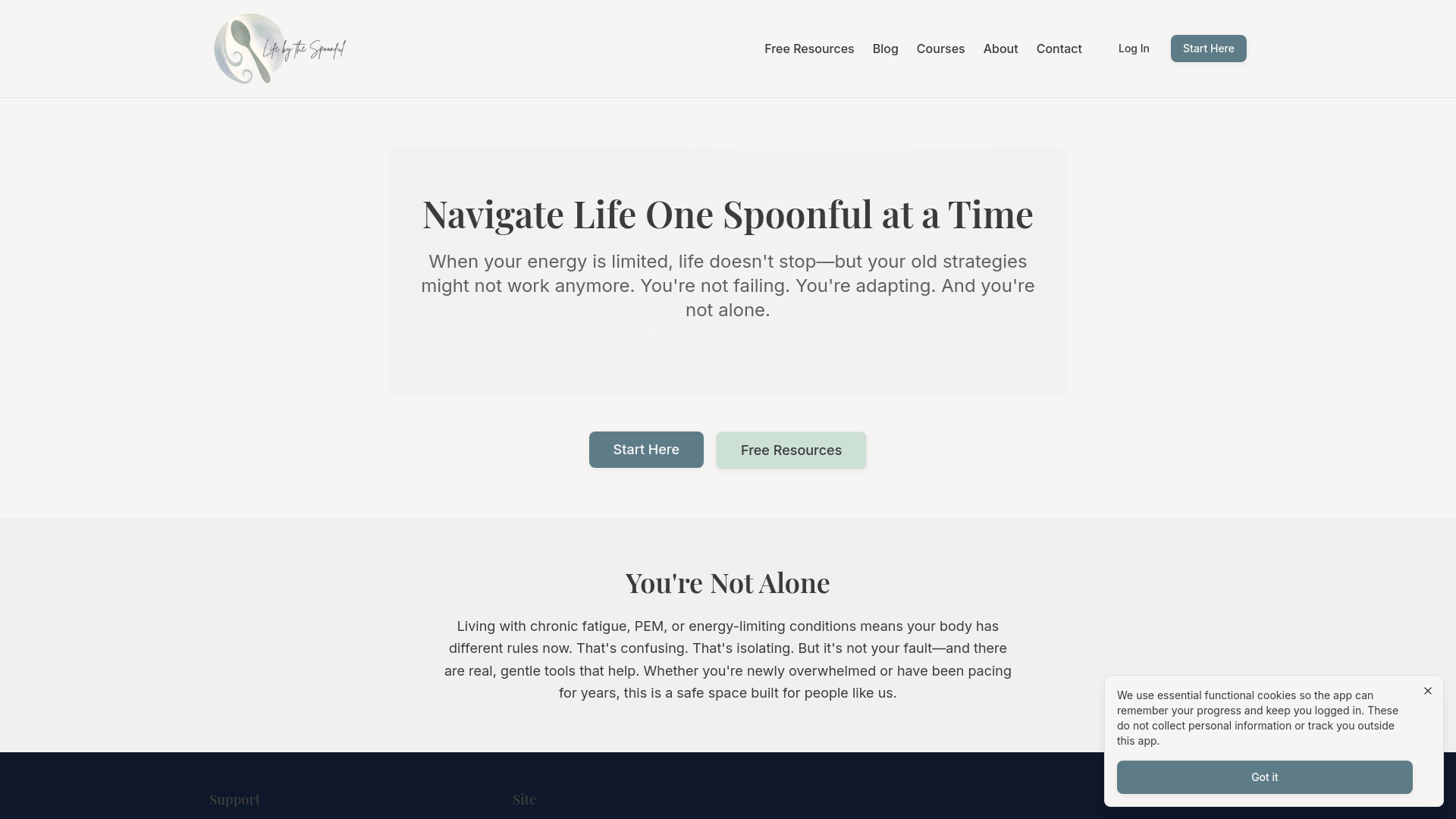 Life by the Spoonful – Support for Energy-Limiting Conditions