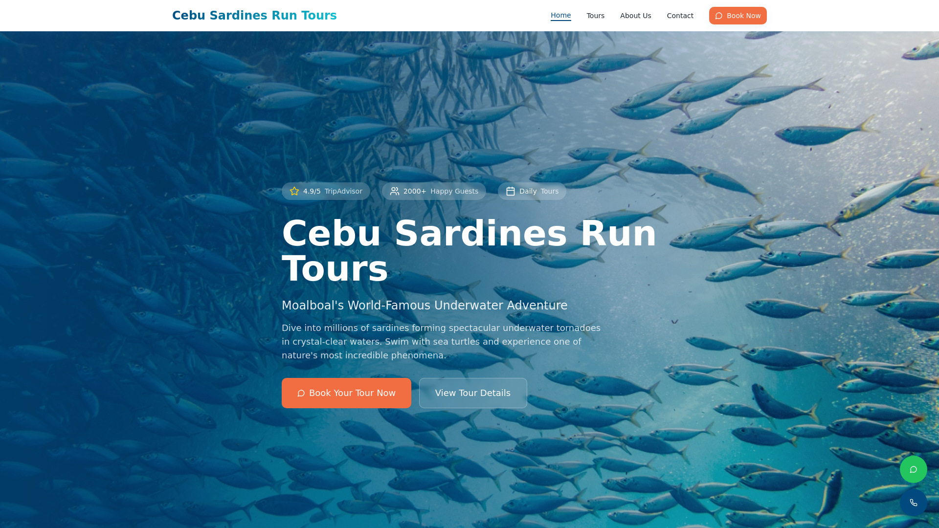 Cebu Sardines Run Tours - Moalboal's World-Famous Underwater Adventure
