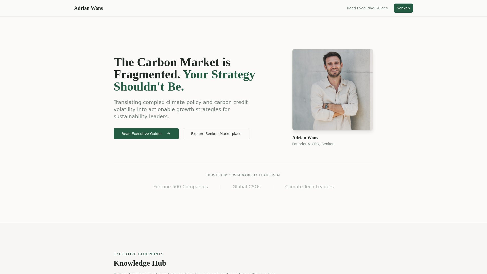 Adrian's Carbon Outlook