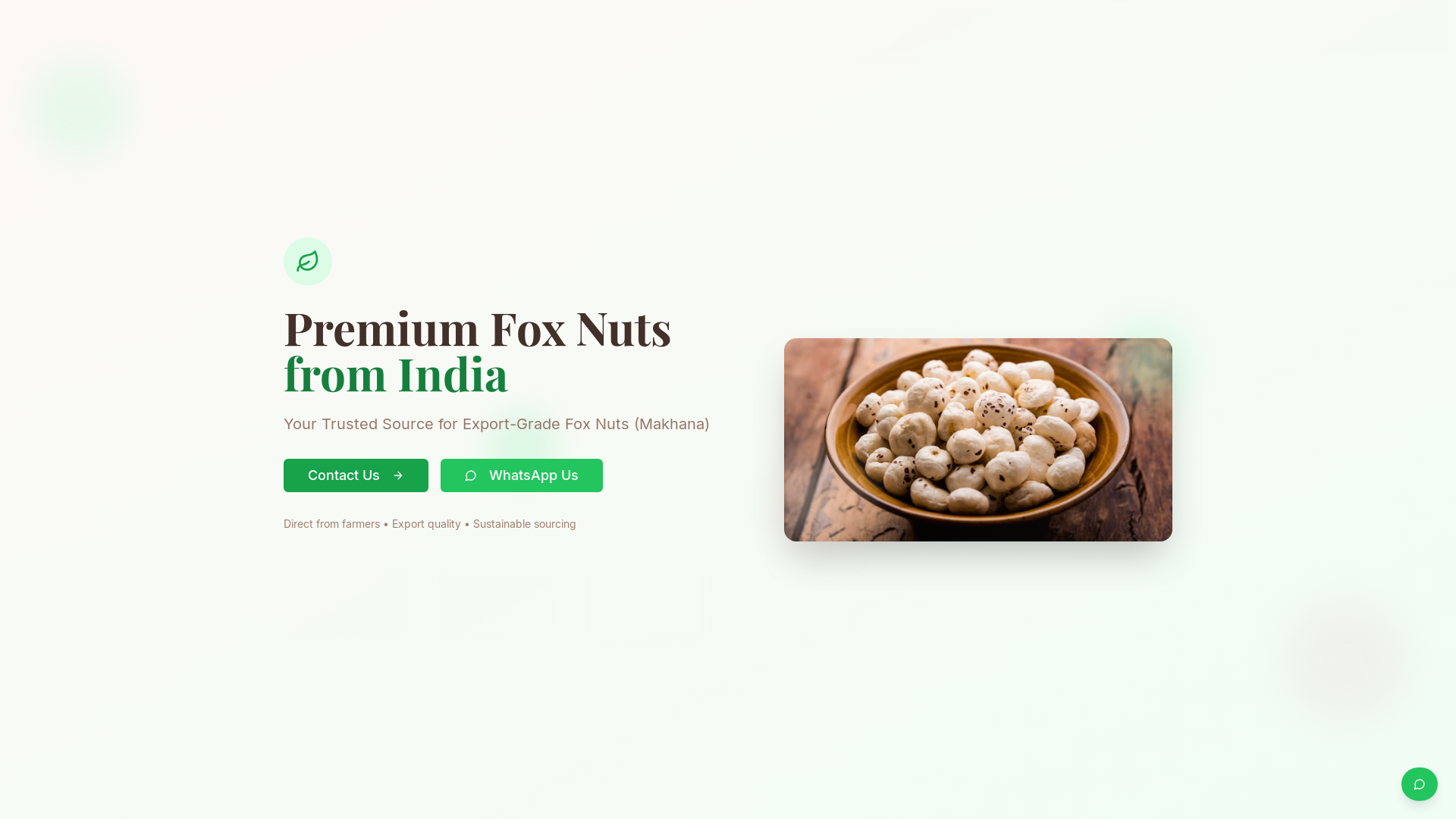 Premium Fox Nuts from India - Wholesale Makhana Supplier | Rashann Roots