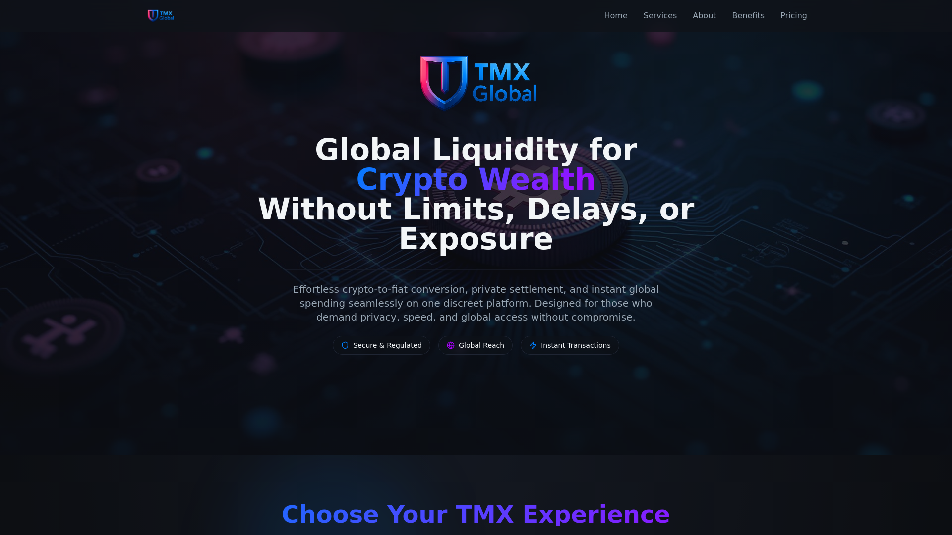 TMX Global - Innovative Financial Solutions