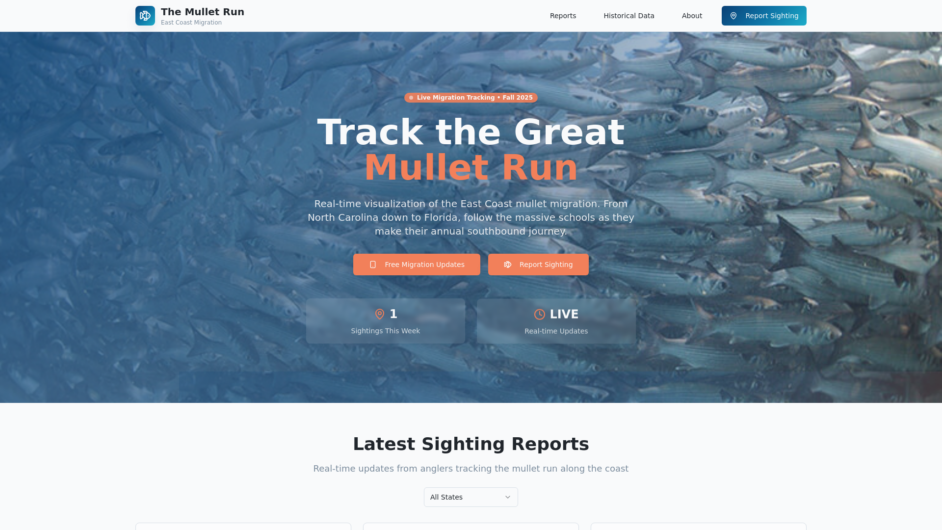 The Mullet Run - East Coast Migration Tracking | Live Fish Sightings
