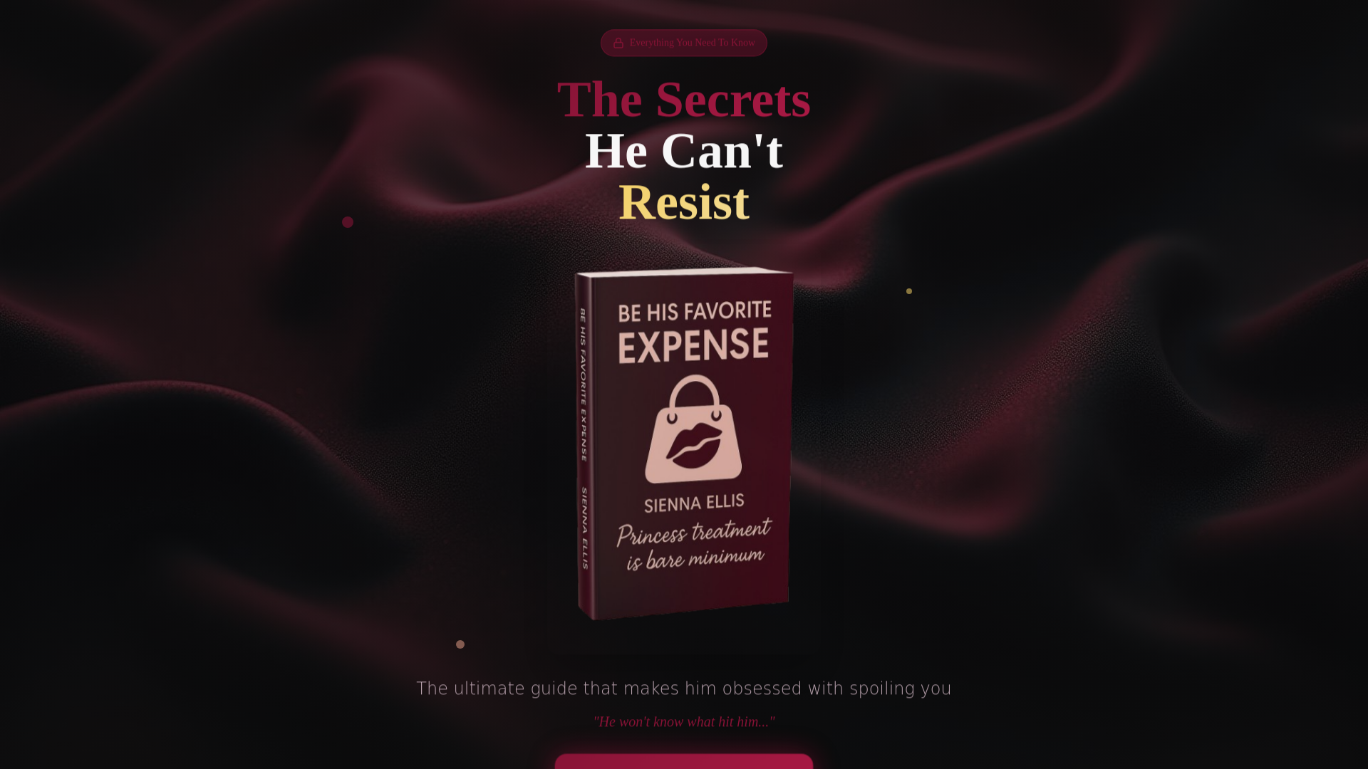 Be His Favorite Expense by Sienna Ellis - Official Website