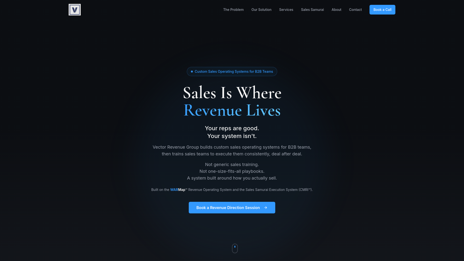 Vector Revenue Group | Sales Growth & Revenue Evolution