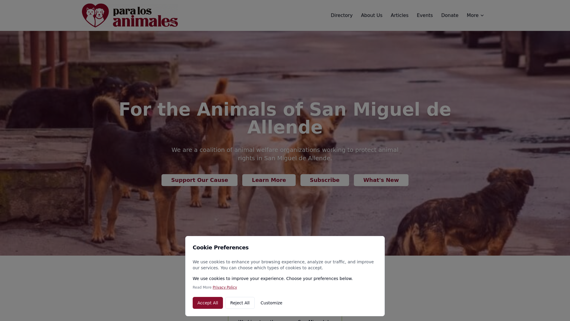 Para Los Animales - Animal Welfare in San Miguel de Allende