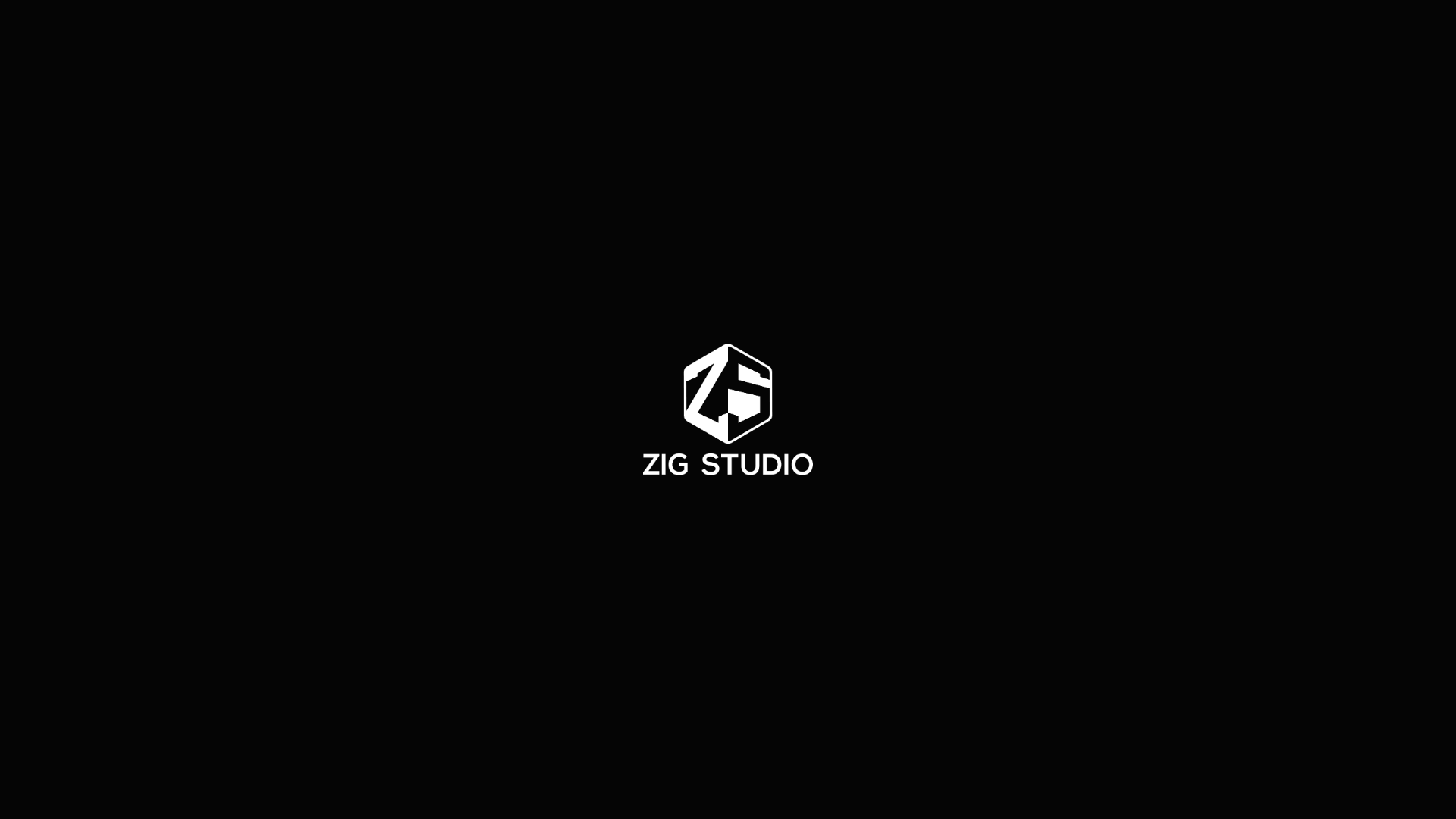 Zig Studio 3D