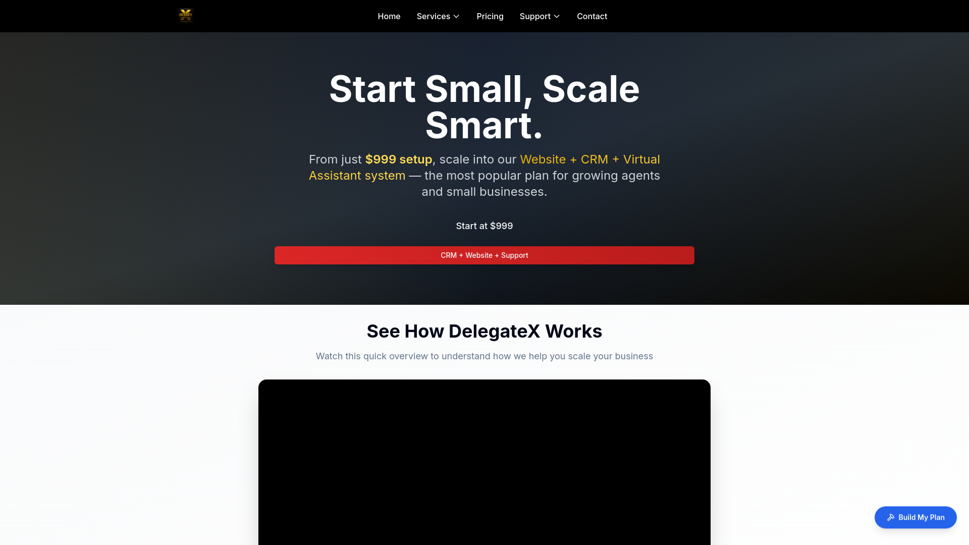 DelegateX — AI Virtual Assistant Solutions