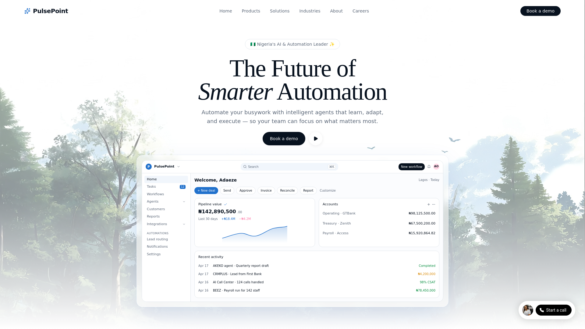 PulsePoint.ng — Nigeria's AI & Process Automation Company