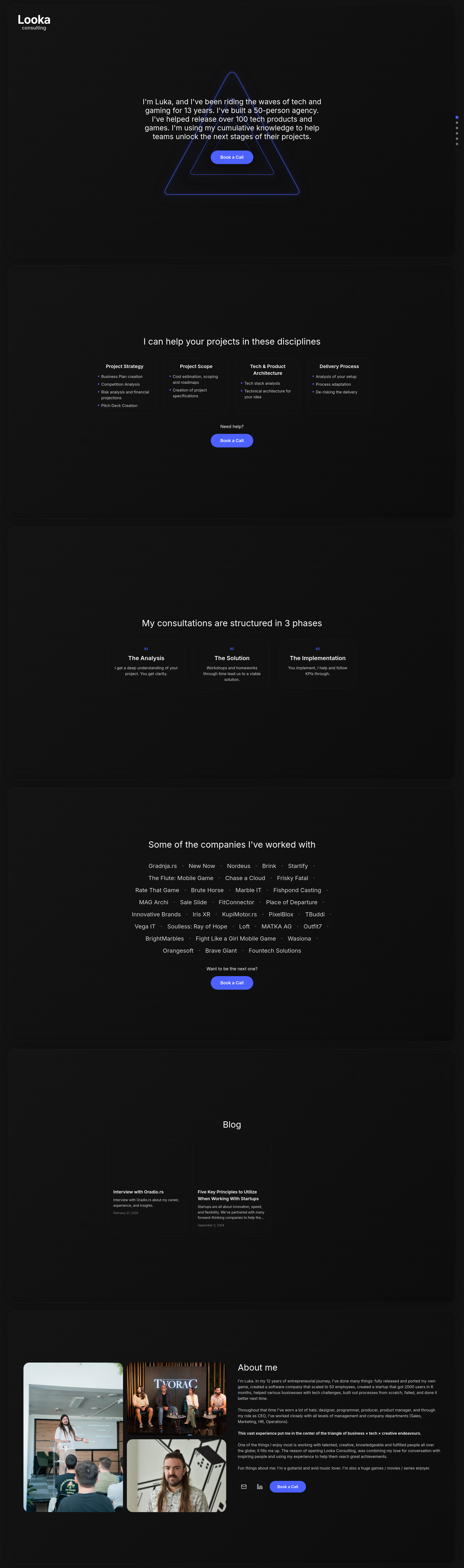 Looka Consulting - Luka Curcic