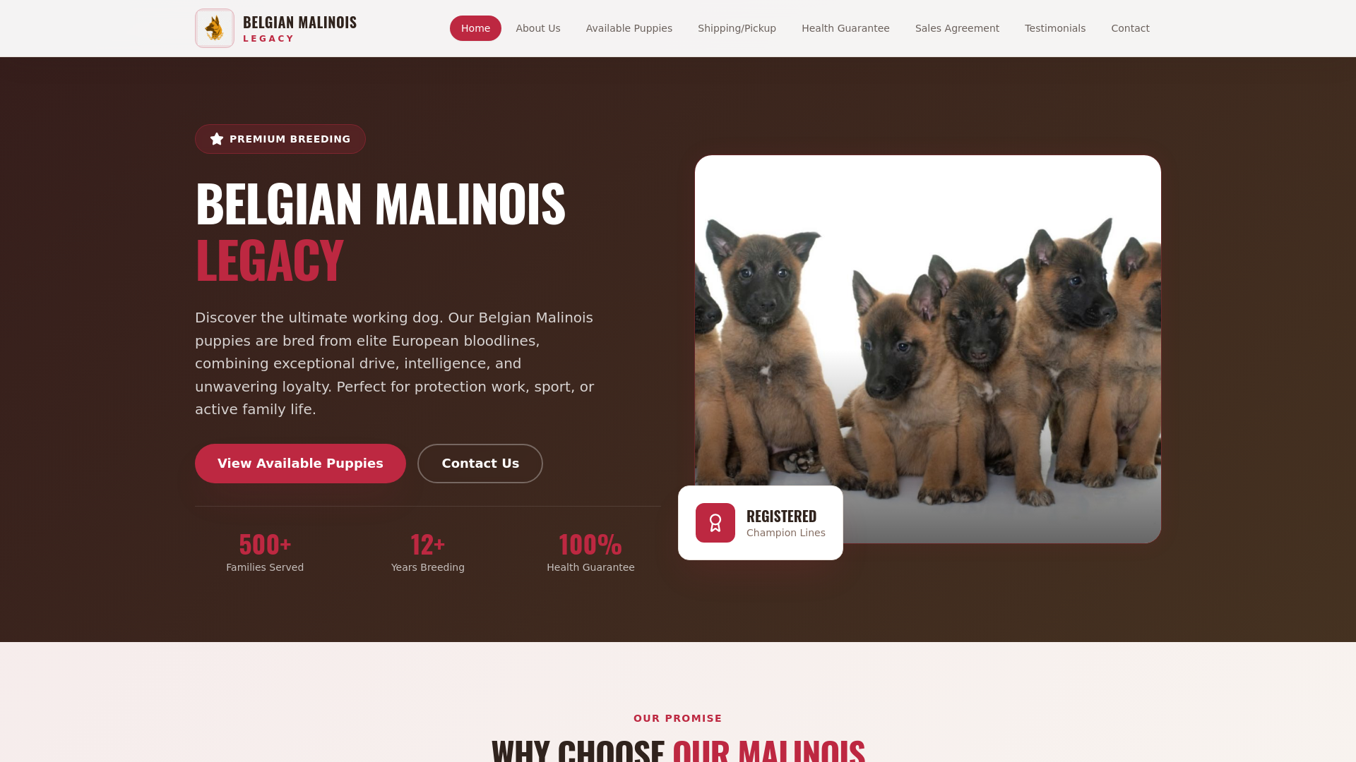 Belgian Malinois Legacy - Elite Working Dog Puppies