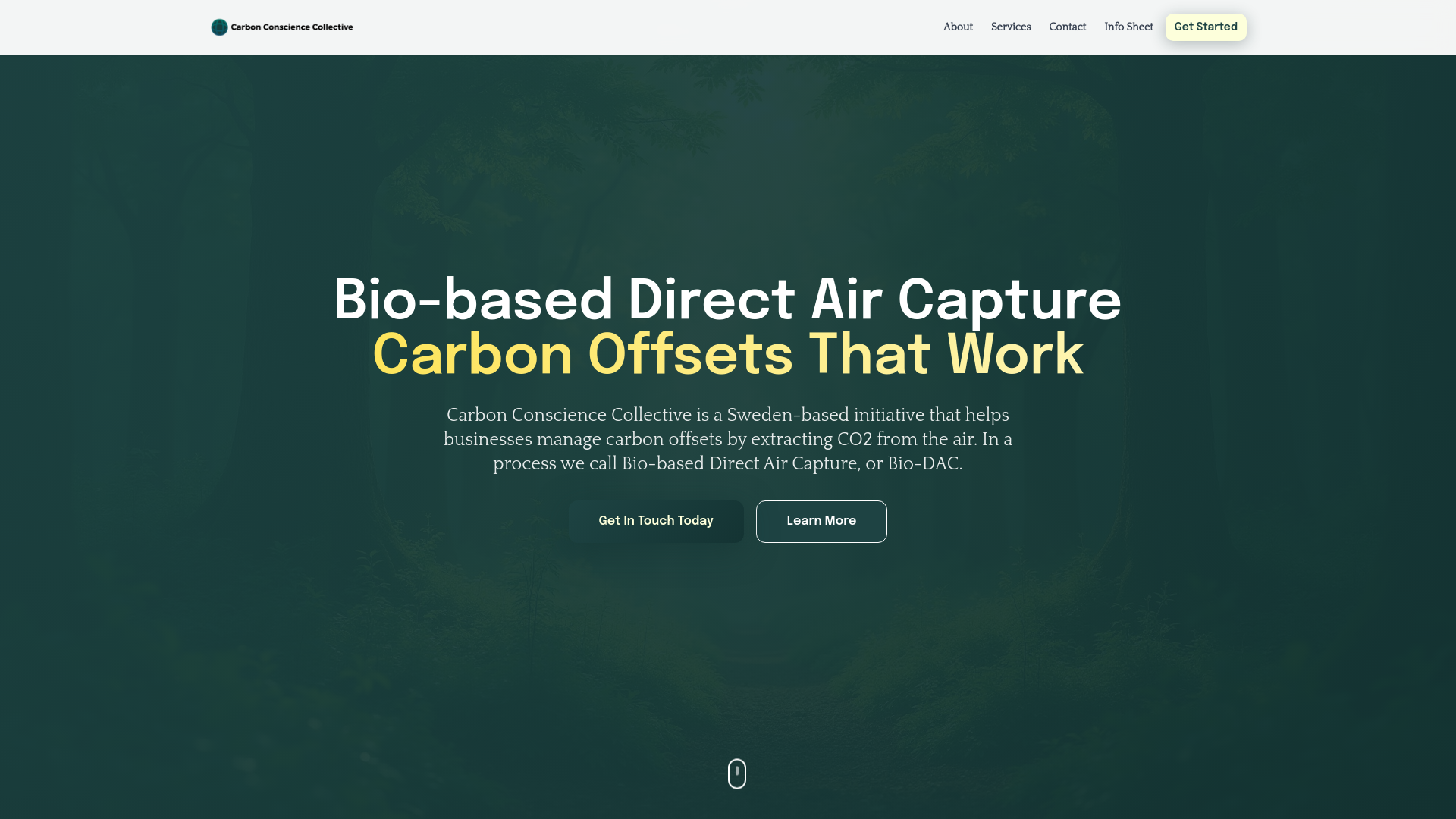 Carbon Conscience Collective - Sustainable Future Solutions