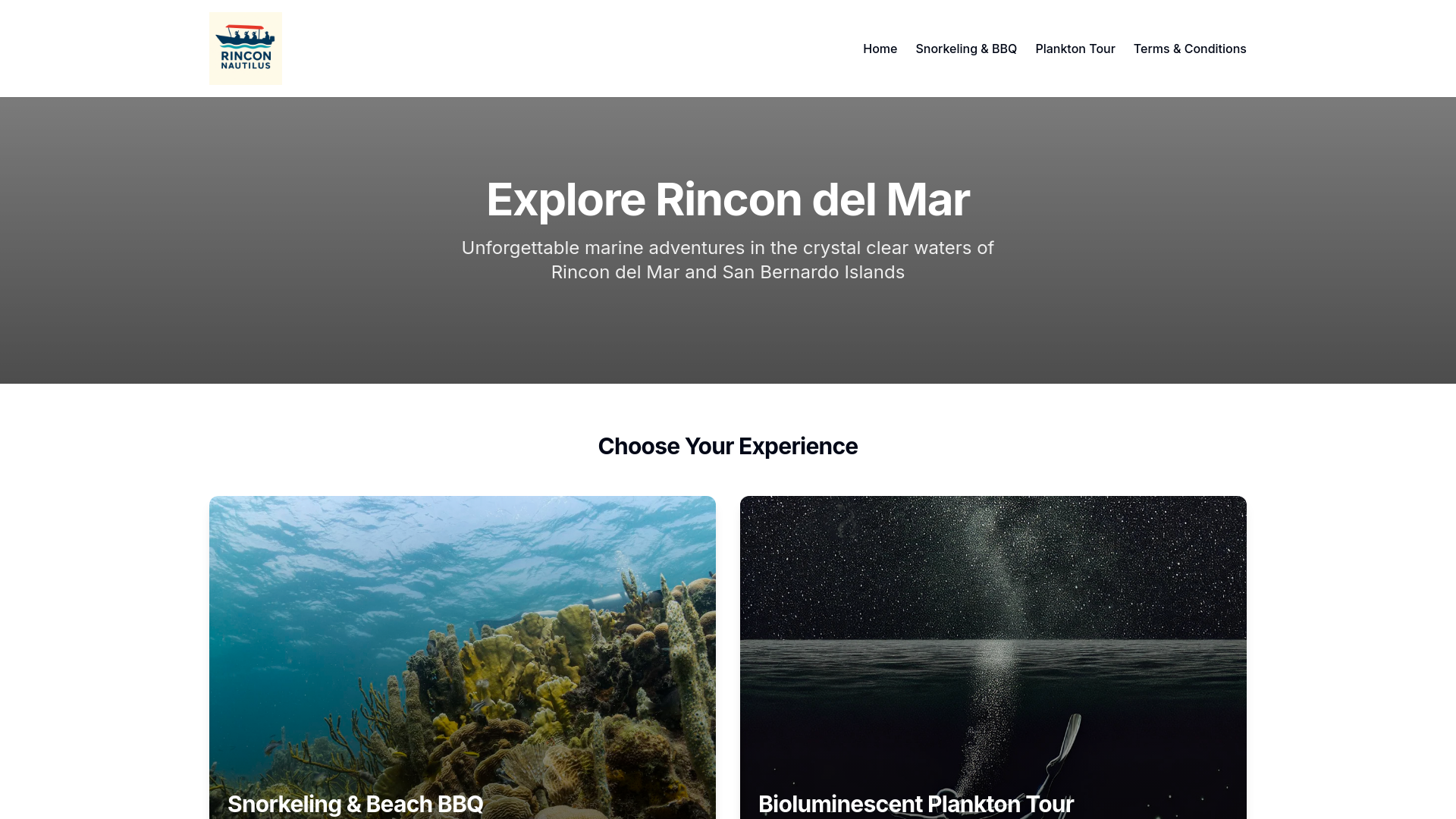 Rincon Tour - Snorkeling & Plankton Tours