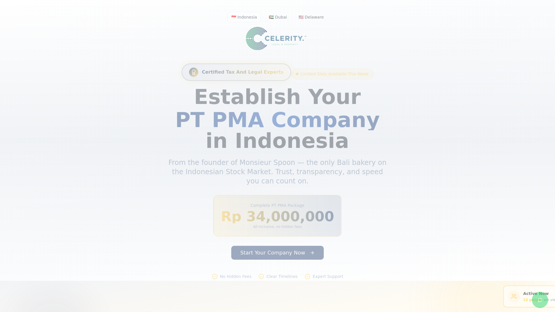 Establish Your PT PMA Company in Indonesia | Celerity