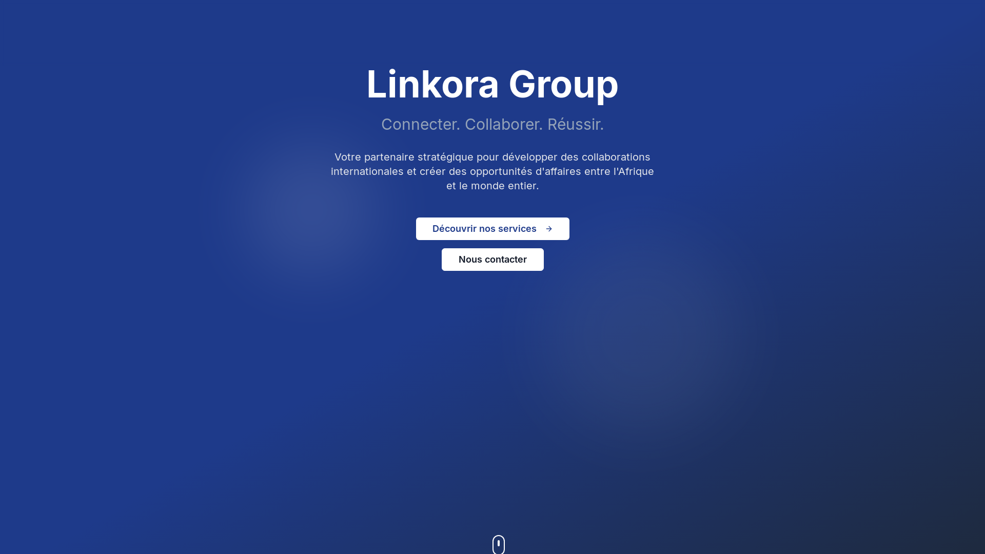 Linkora Group - Partenariats Internationaux & Développement Afrique