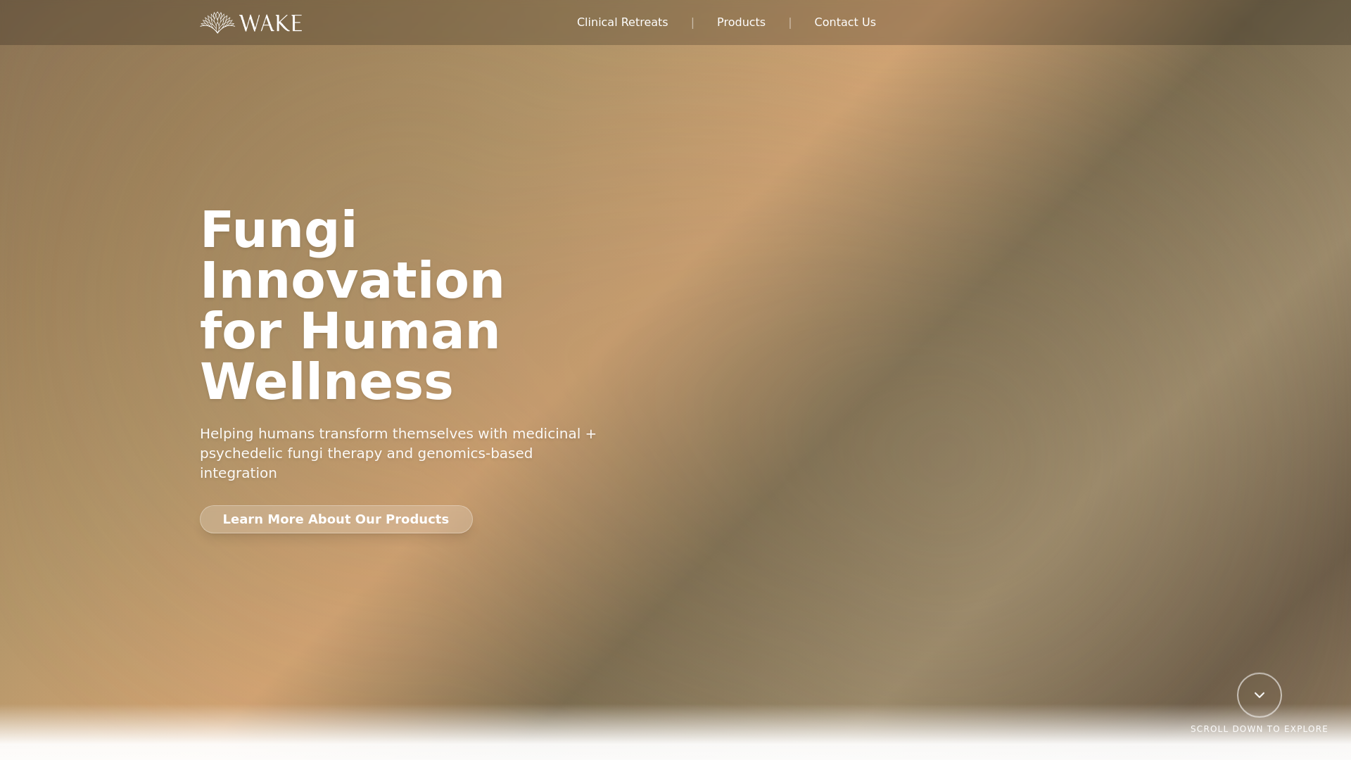 Wake Network | Fungi Innovation for Human Wellness