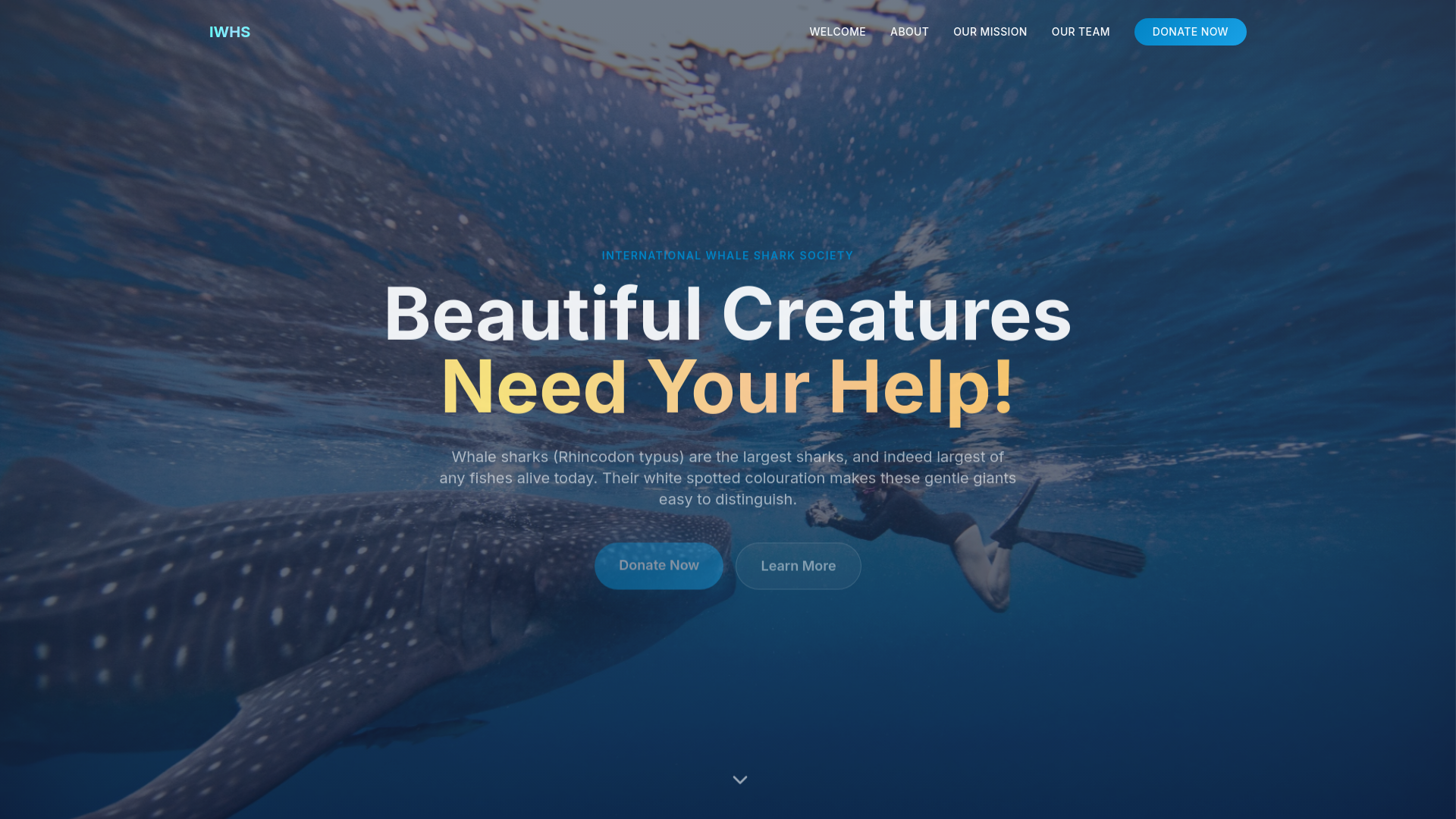IWHS - International Whale Shark Society | Protect Ocean Life